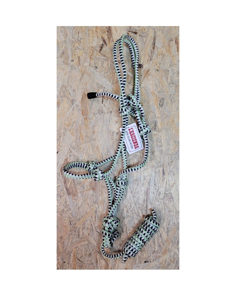 LICOL ETHOLOGIQUE TRAVAIL CORDE LONGE HORSEMANSHIP